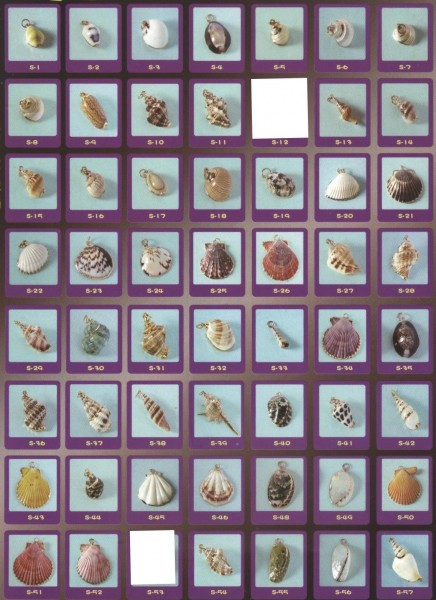 14K GOLD PLATING SEA SHELLS_Fashion Jewelry & Sea Shells_PRODUCTS ...