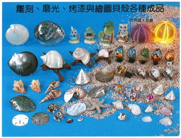 SEA SHELLS_Fashion Jewelry & Sea Shells_PRODUCTS_ YOUNG SUN