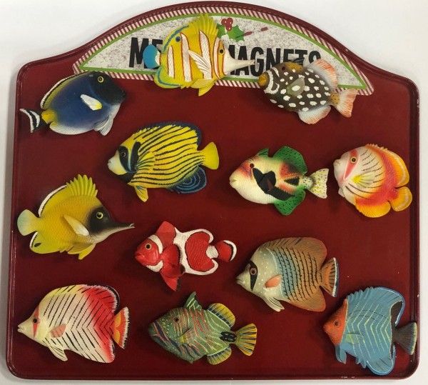 Poly Resin Magnets_Gifts & Hand Crafts_PRODUCTS_ YOUNG SUN