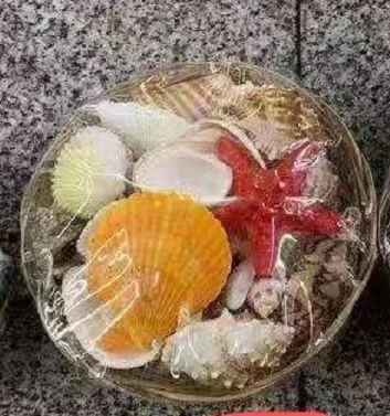 SHELL ACCESSORY_SHELL ACCESSORIES_Fashion Jewelry & Sea Shells_PRODUCTS ...