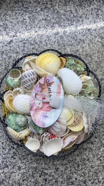 SHELL ACCESSORY_SHELL ACCESSORIES_Fashion Jewelry & Sea Shells_PRODUCTS ...