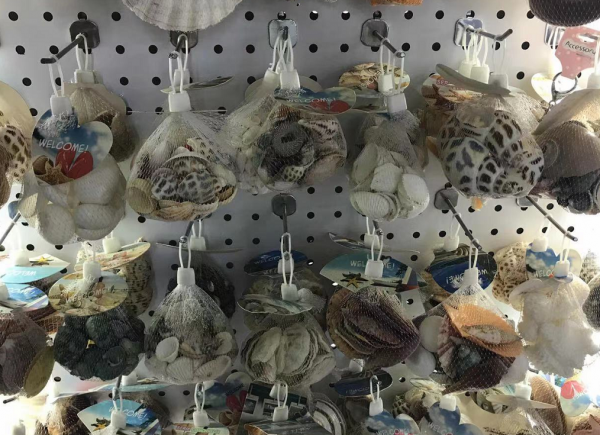 SHELL ACCESSORY_SHELL ACCESSORIES_Fashion Jewelry & Sea Shells_PRODUCTS ...