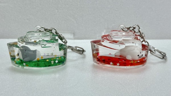 OTHER DESIGNS_Acrylic Liquid Key Chains_Gifts & Hand Crafts_PRODUCTS ...