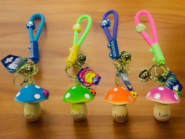 FASHION KEY RING_Toys & Games_PRODUCTS_ YOUNG SUN
