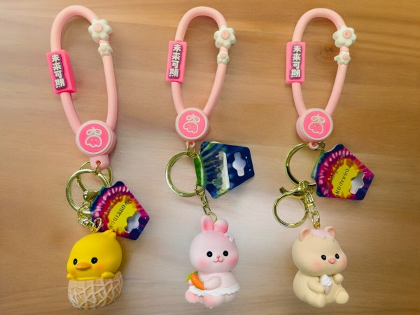 FASHION KEY RING_Toys & Games_PRODUCTS_ YOUNG SUN