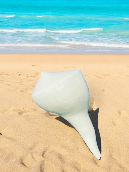 SEA SHELLS_Fashion Jewelry & Sea Shells_PRODUCTS_ YOUNG SUN