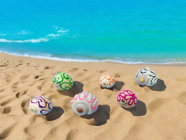 SEA SHELLS_Fashion Jewelry & Sea Shells_PRODUCTS_ YOUNG SUN